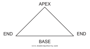 What is a Triangular Bandage (Cravat)? How to make and use one.